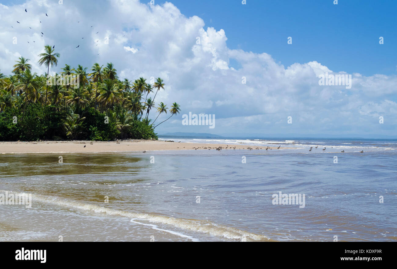 Queen Beach Mayaro Trinidad