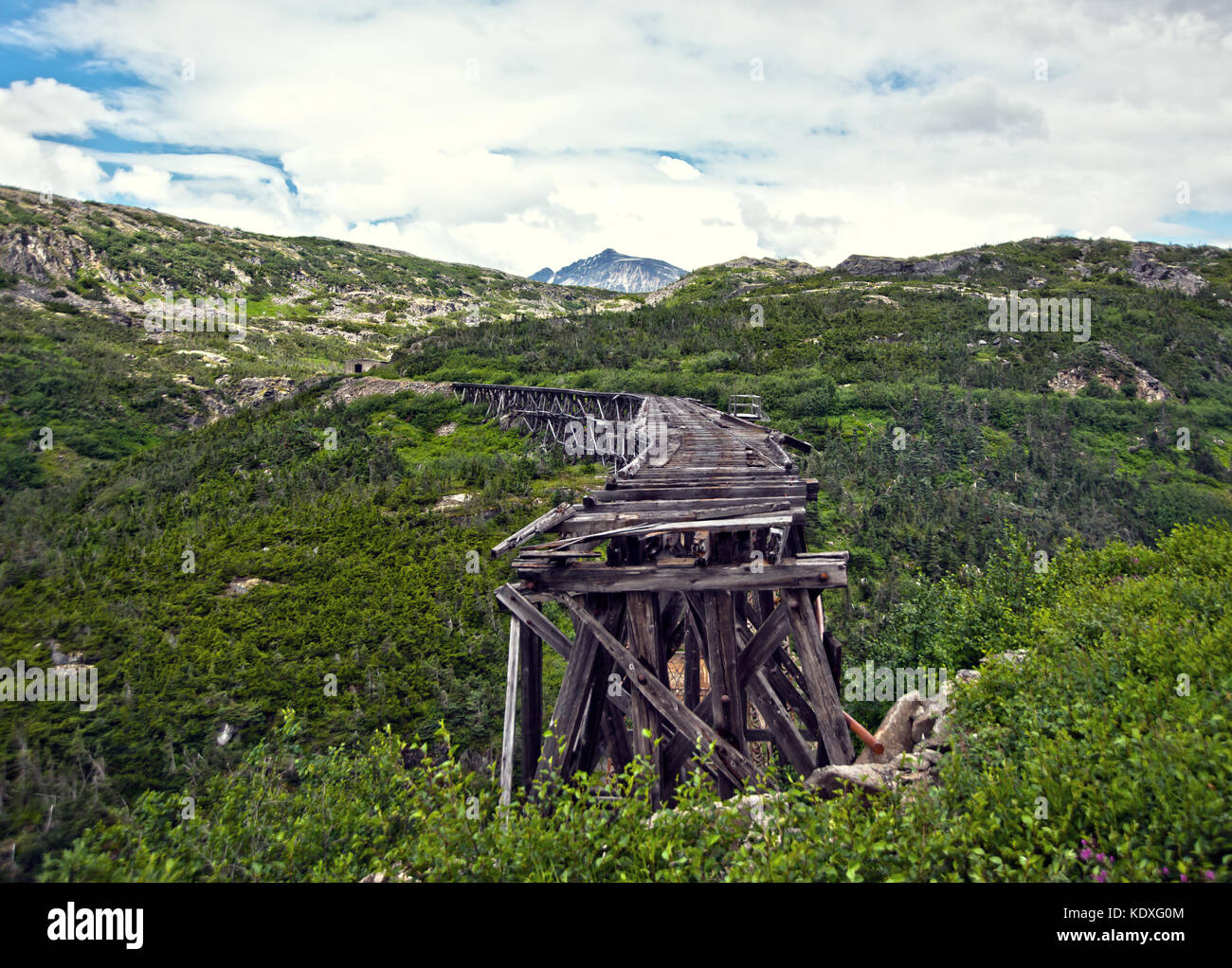 Abandoned Old Wooden Railway Bridge High Resolution Stock Photography ...