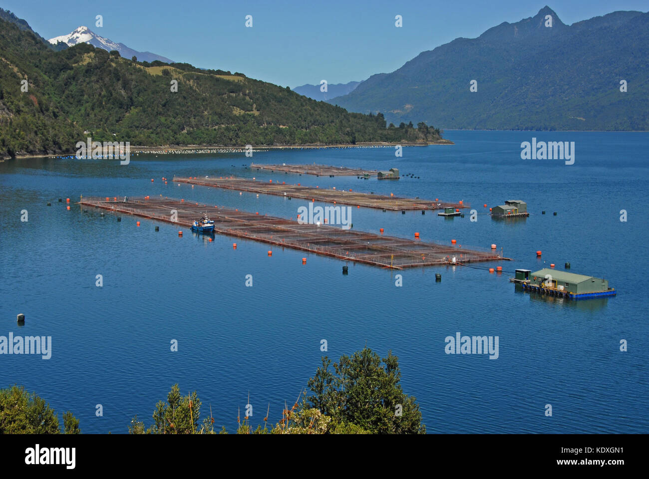 Salmon farming hi-res stock photography and images - Alamy