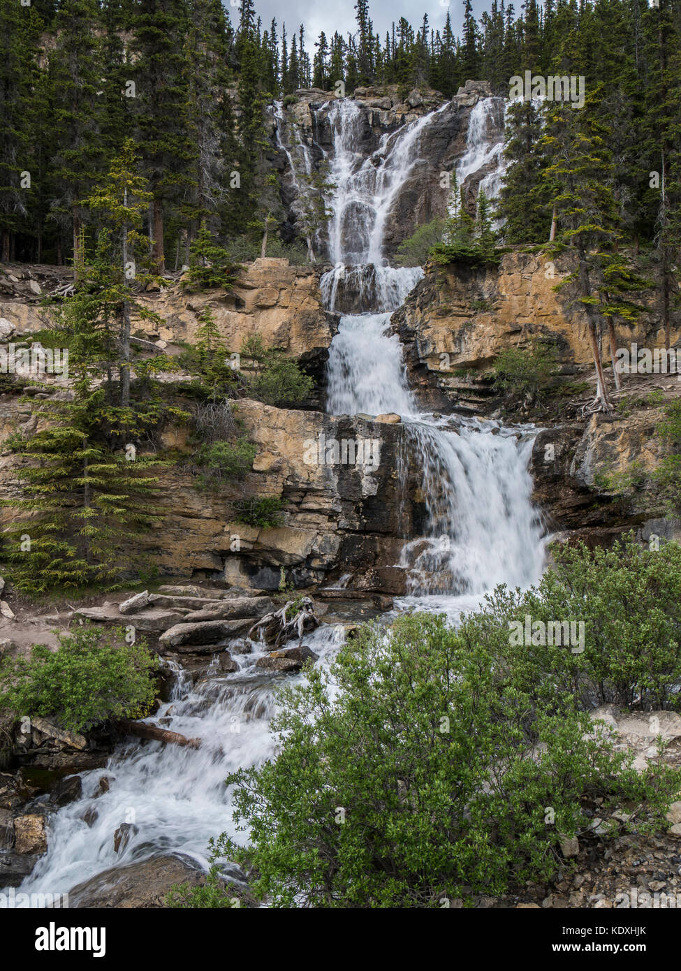 Tangle Creek Falls, Icefields Parkway, Alberta, Canada Stock Photo - Alamy