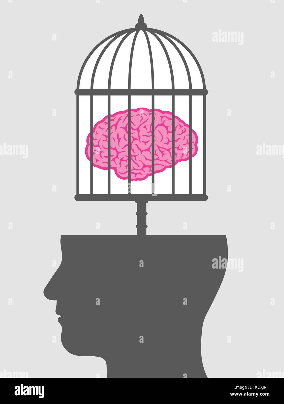 Caged Brain High Resolution Stock Photography and Images - Alamy