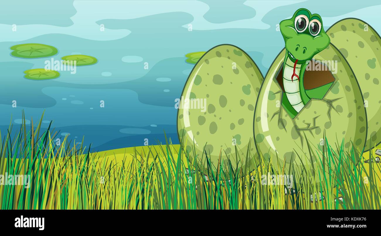 Green snake hatching egg by the pond illustration Stock Vector Image ...