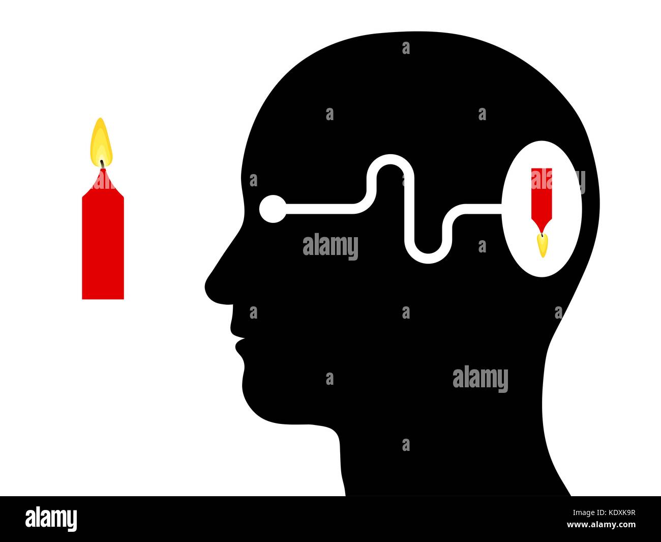 Diagram of the silhouette of a head showing visual perception in a ...