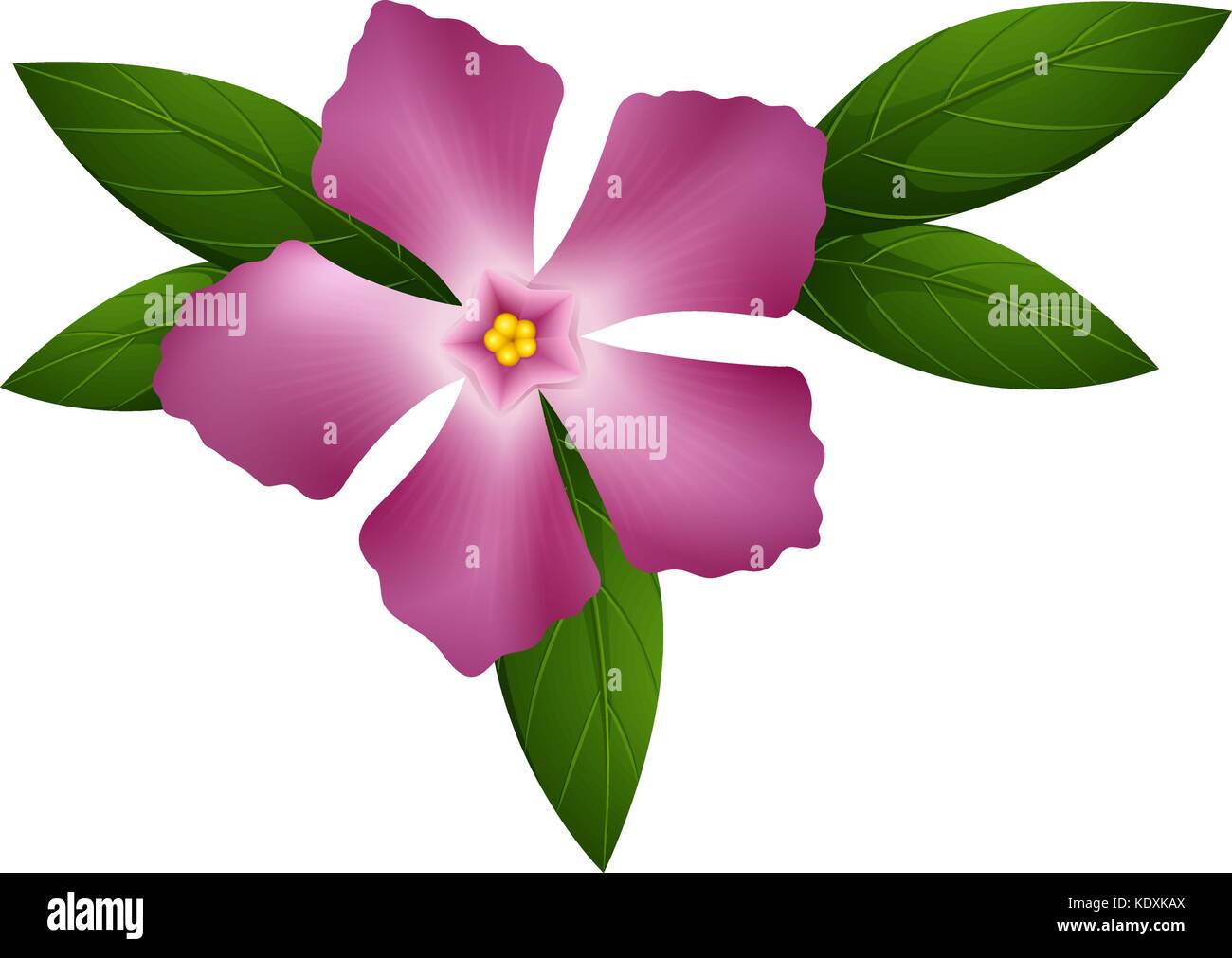 Periwinkle background Stock Vector Images - Alamy