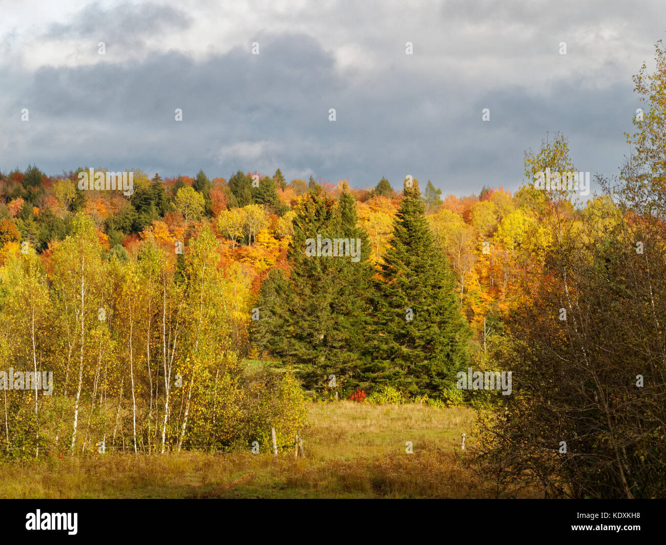 Quebec, Canada. Autumn on the farm in Rawdon Stock Photo - Alamy