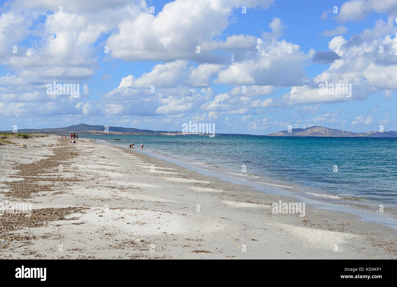 Mediterranean vegetation in sardinia hi-res stock photography and ...