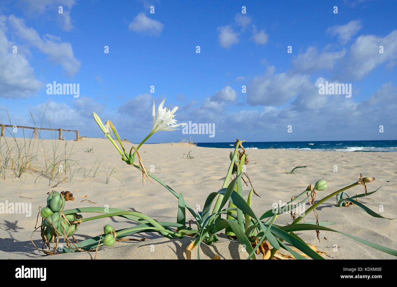 Themarina hi-res stock photography and images - Alamy