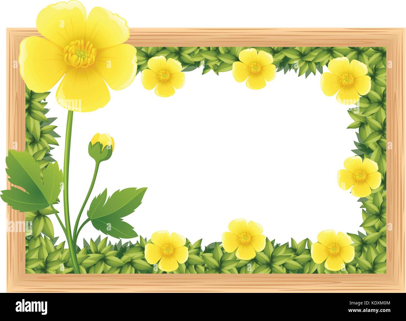 Yellow buttercup flowers as frame design illustration Stock Vector ...