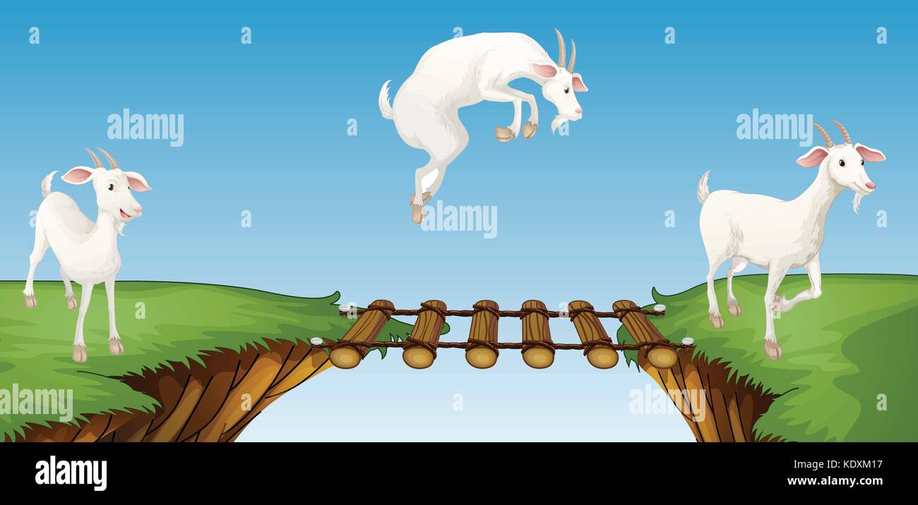 Three goats crossing bridge illustration Stock Vector Image & Art - Alamy