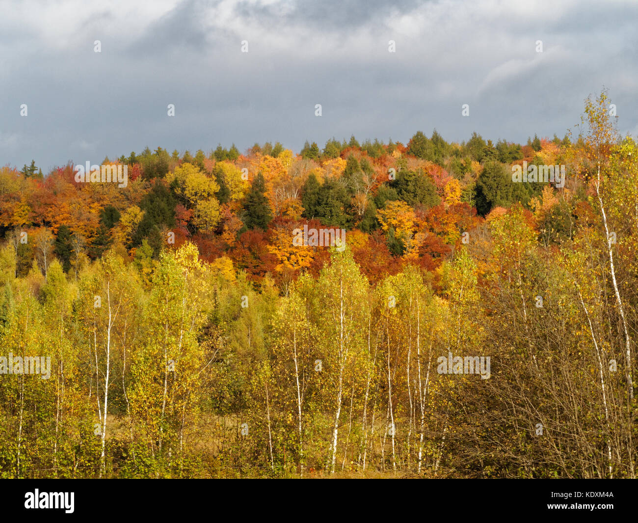 Quebec, Canada. Autumn forests in Rawdon Stock Photo - Alamy