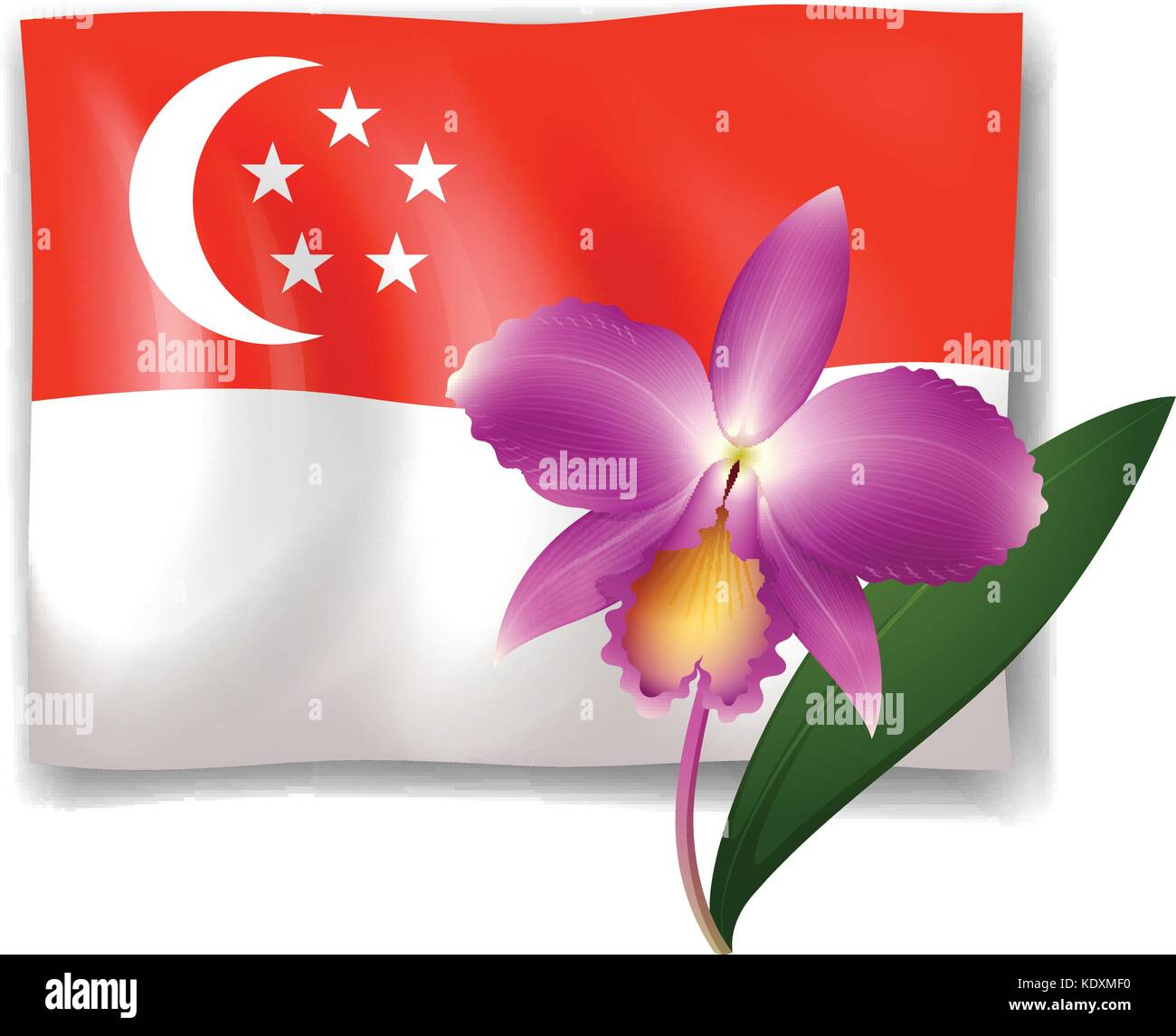 Purple orchid and Singapore flag illustration Stock Vector Image & Art ...