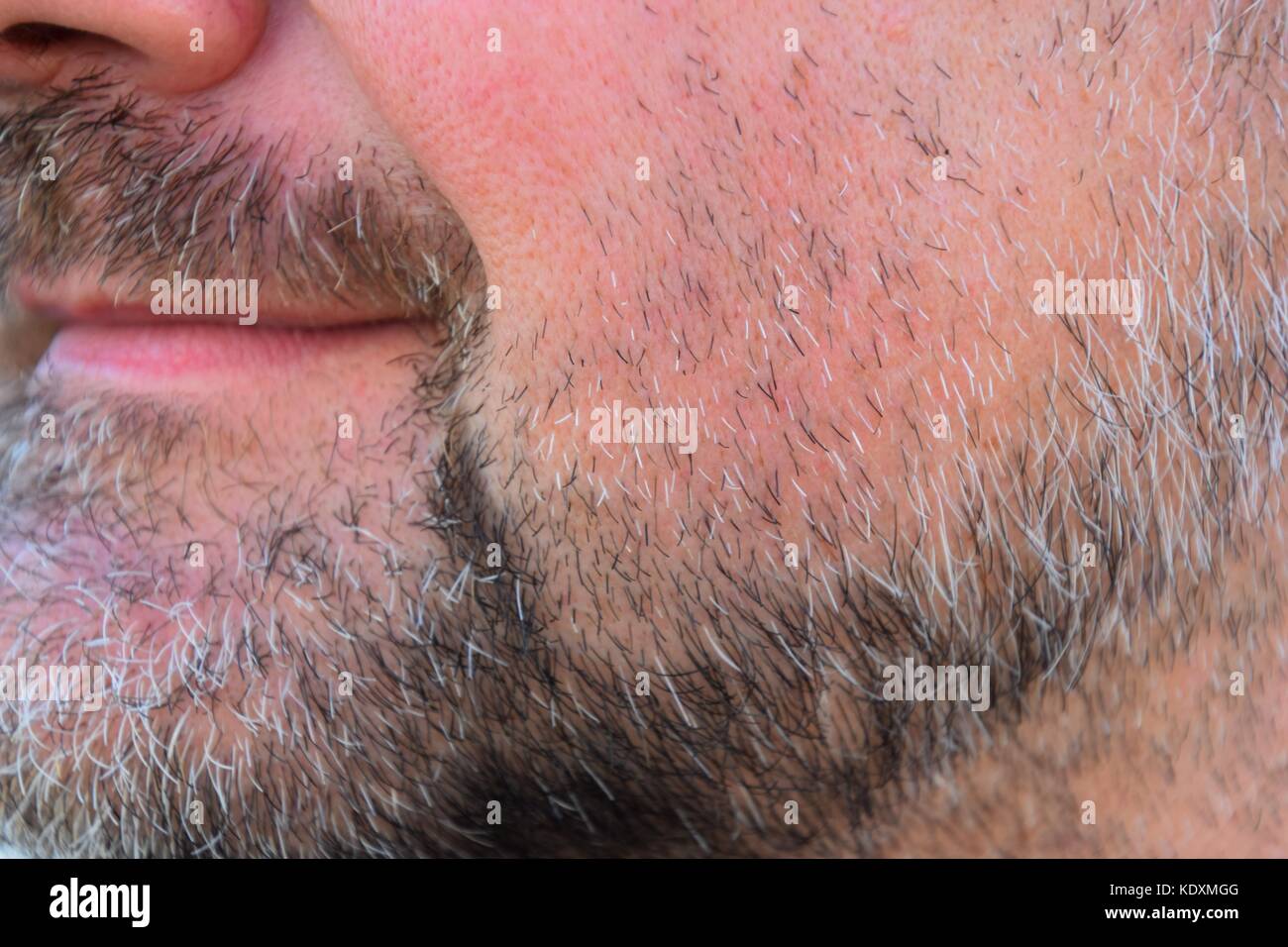 Grey Stubble Beard High Resolution Stock Photography and Images - Alamy