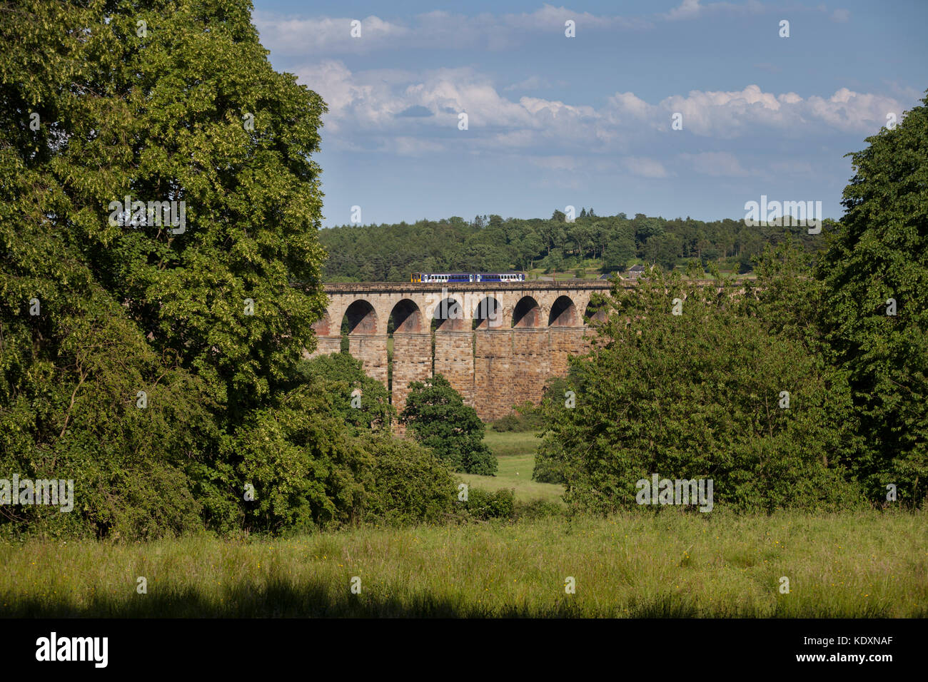 Northern rail class 155 sprinter train crossing Crimple valley viaduct ...