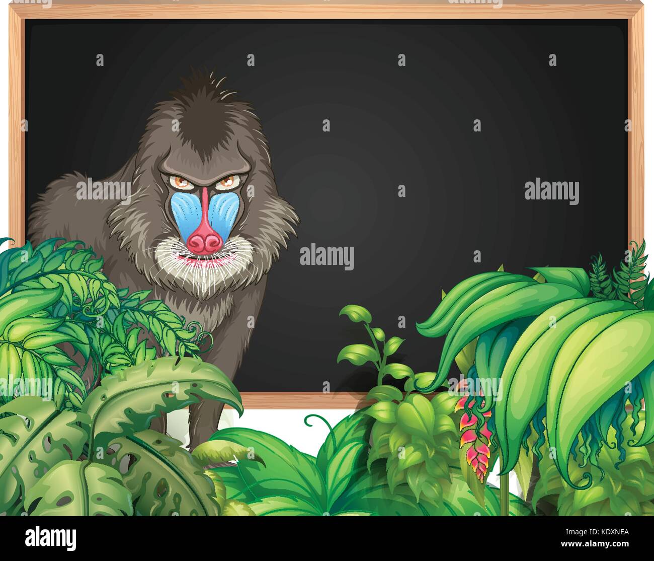 Baboon sign Stock Vector Images - Alamy