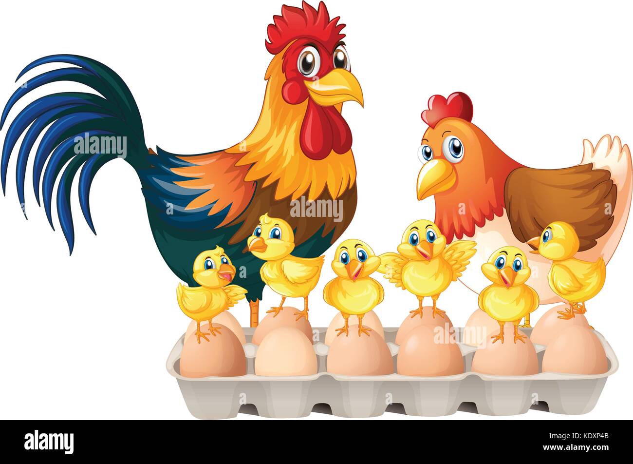 Chickens and eggs in carton box illustration Stock Vector Image & Art ...