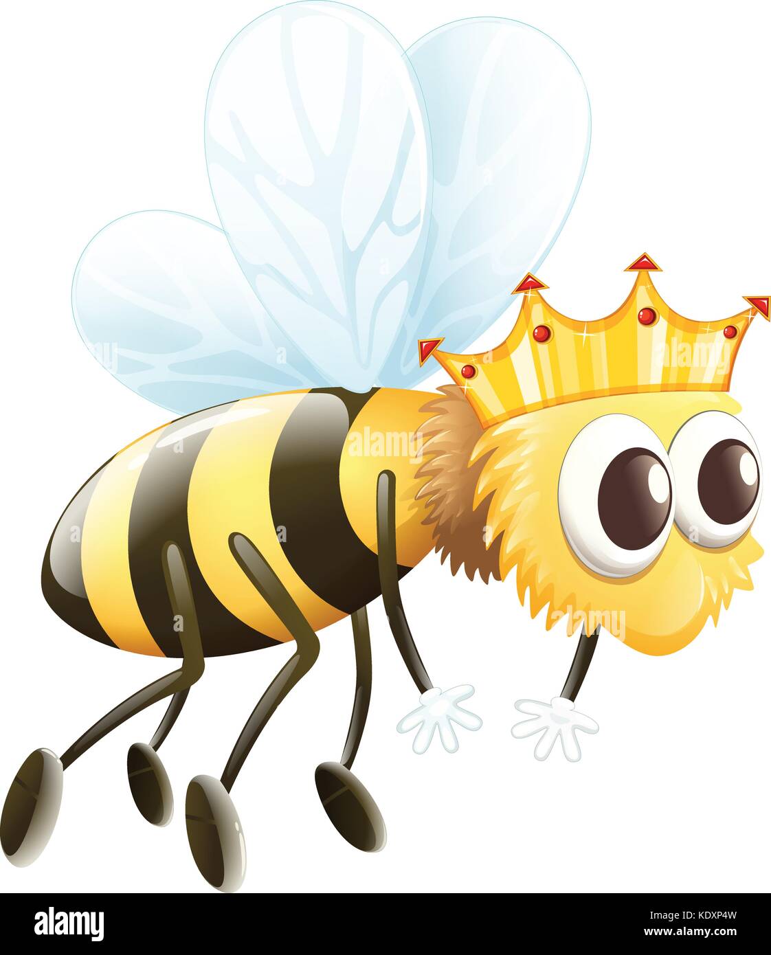 Bee Crown High Resolution Stock Photography and Images - Alamy