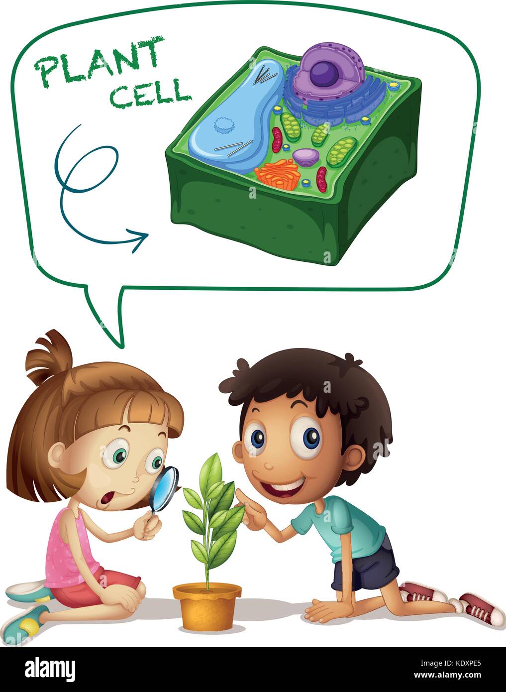 Observation cell Stock Vector Images - Alamy