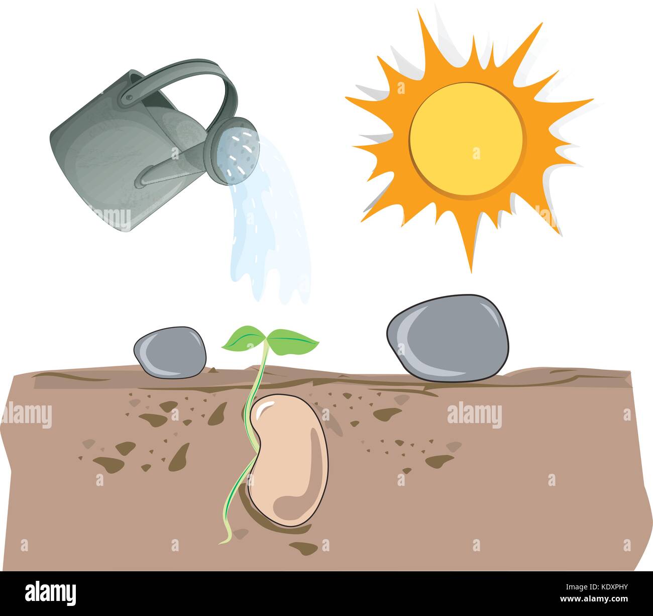 Plant growing from underground illustration Stock Vector Image & Art ...