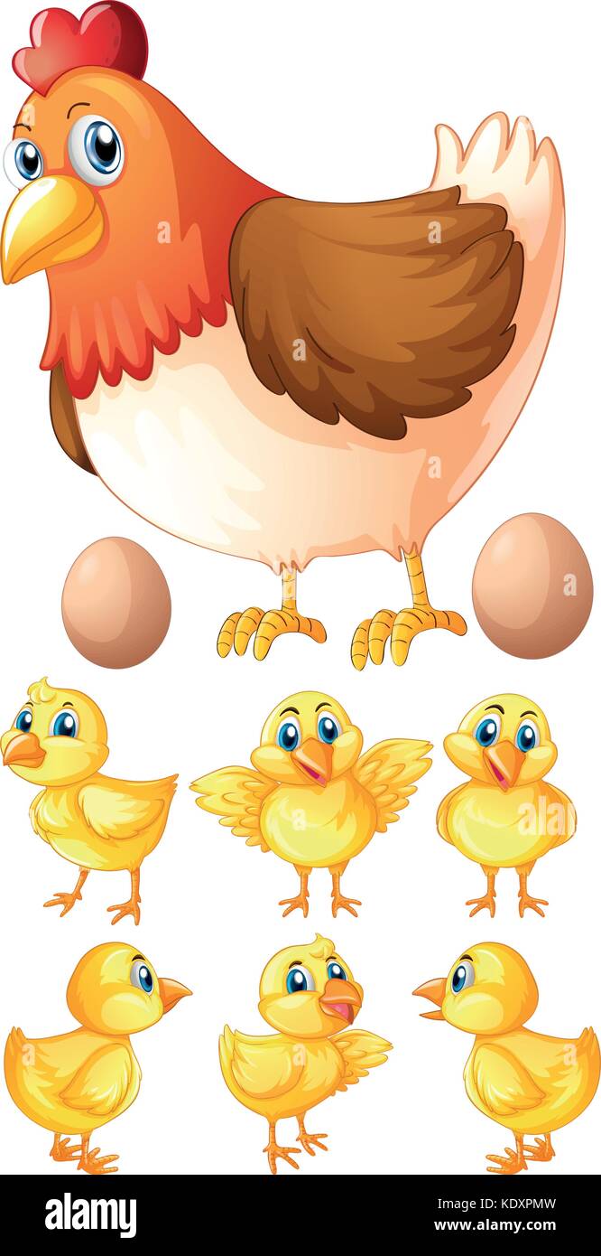 Hen and six chicks illustration Stock Vector Image & Art - Alamy