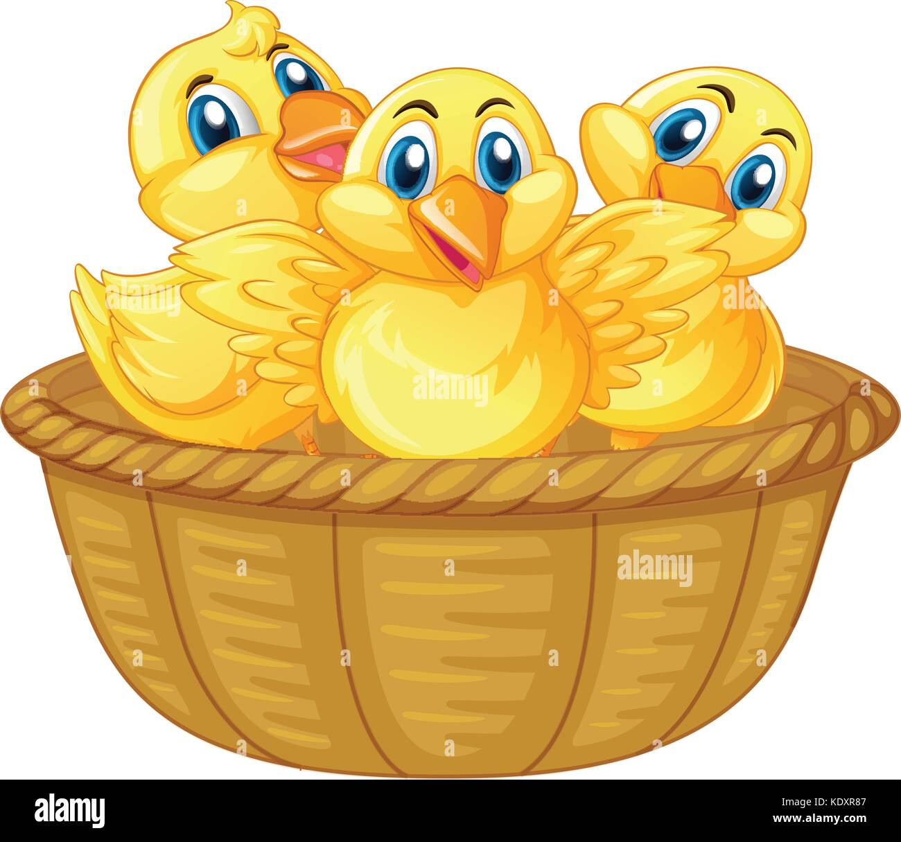 Three little chicks in basket illustration Stock Vector Image & Art - Alamy
