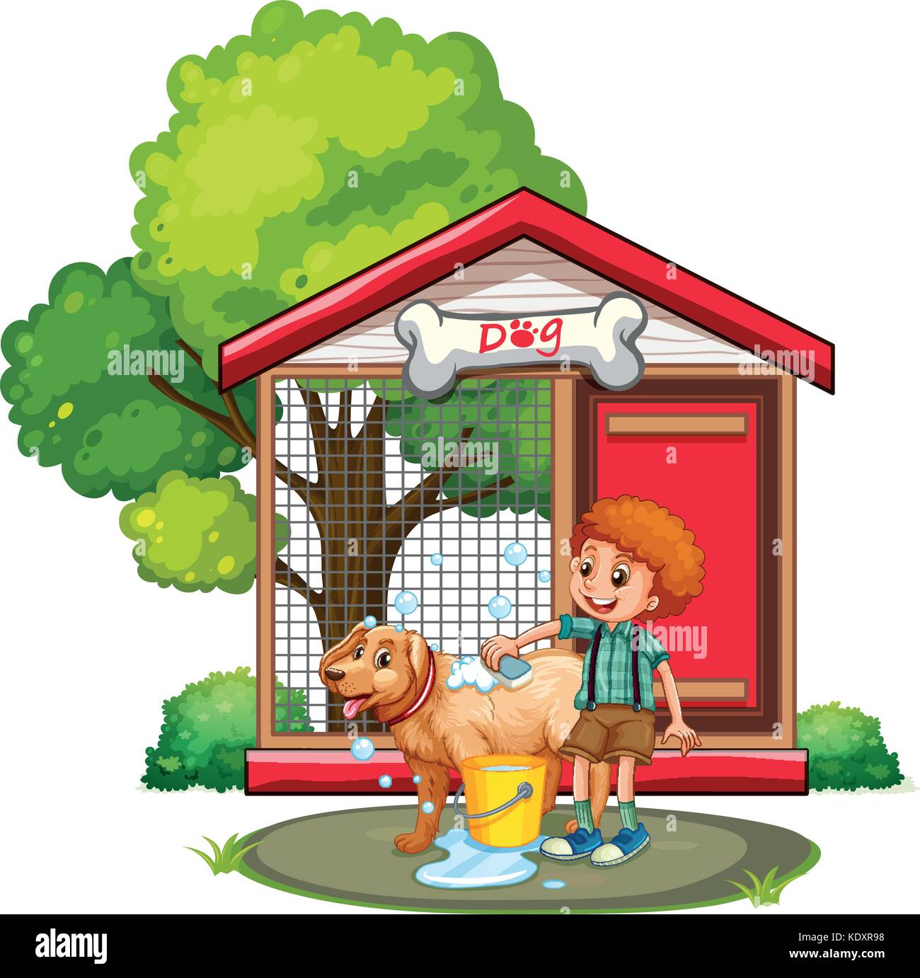 Boy washing dog hi-res stock photography and images - Alamy