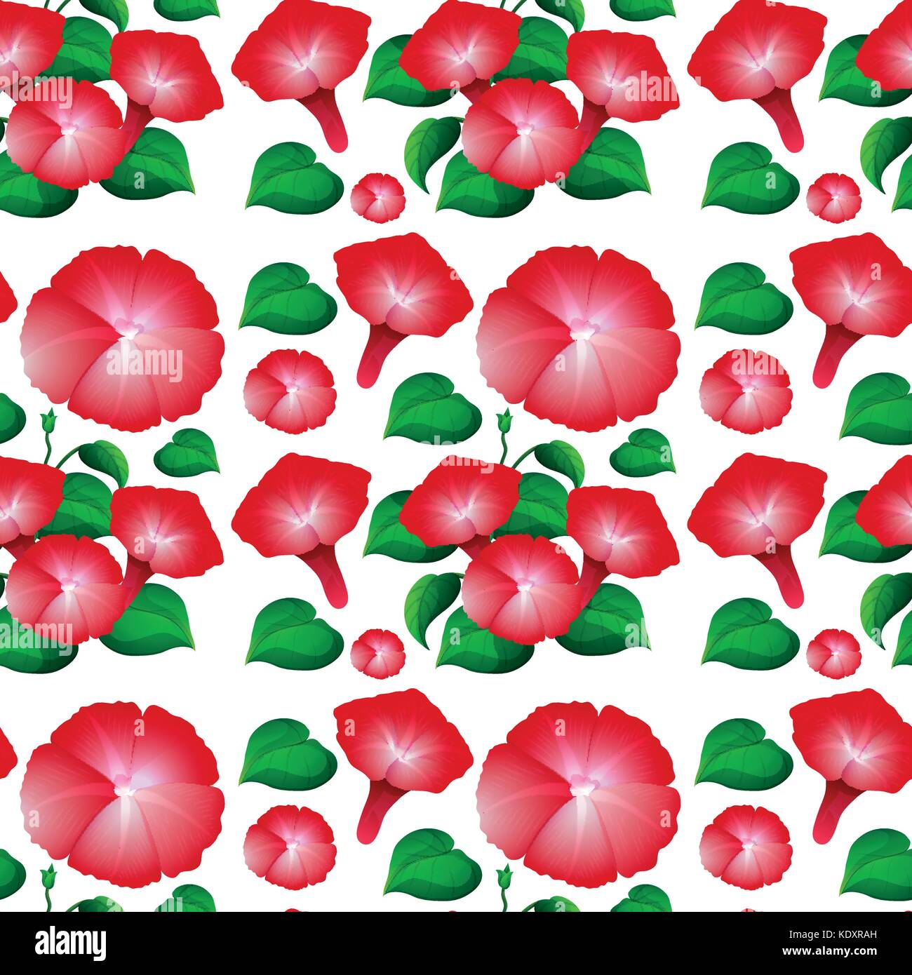 Morning glory flowers Stock Vector Images - Alamy