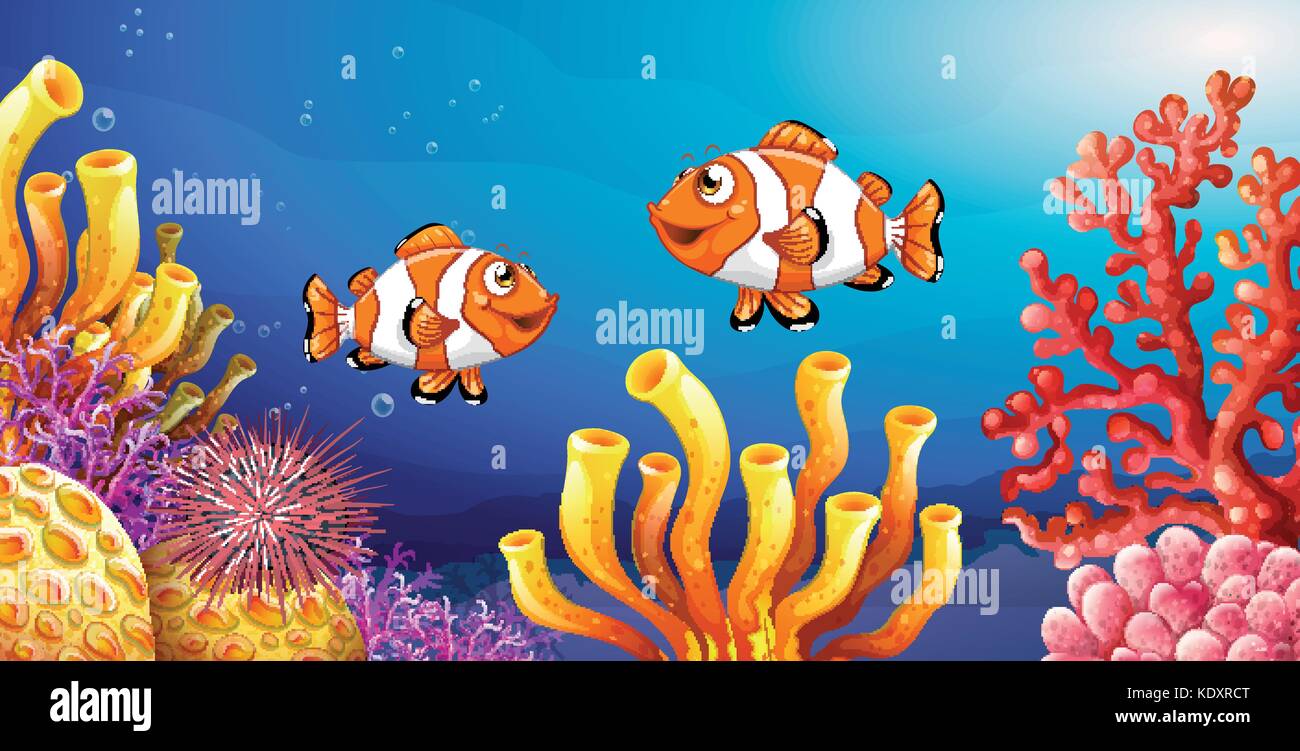 Clownfish And Sea Anemone Clipart