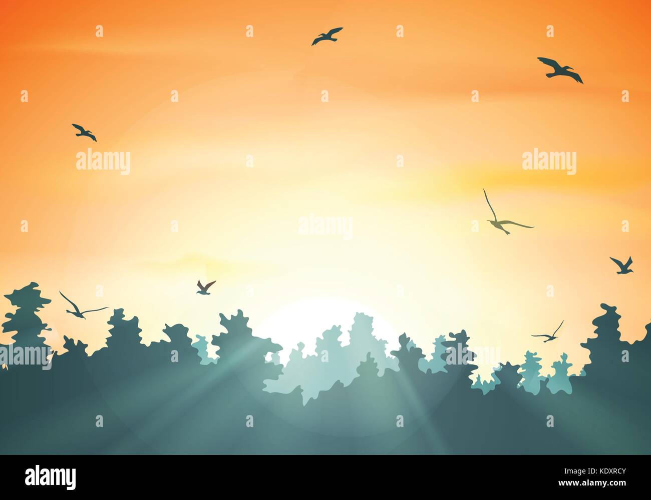 Bright sun in forest Stock Vector Images - Alamy