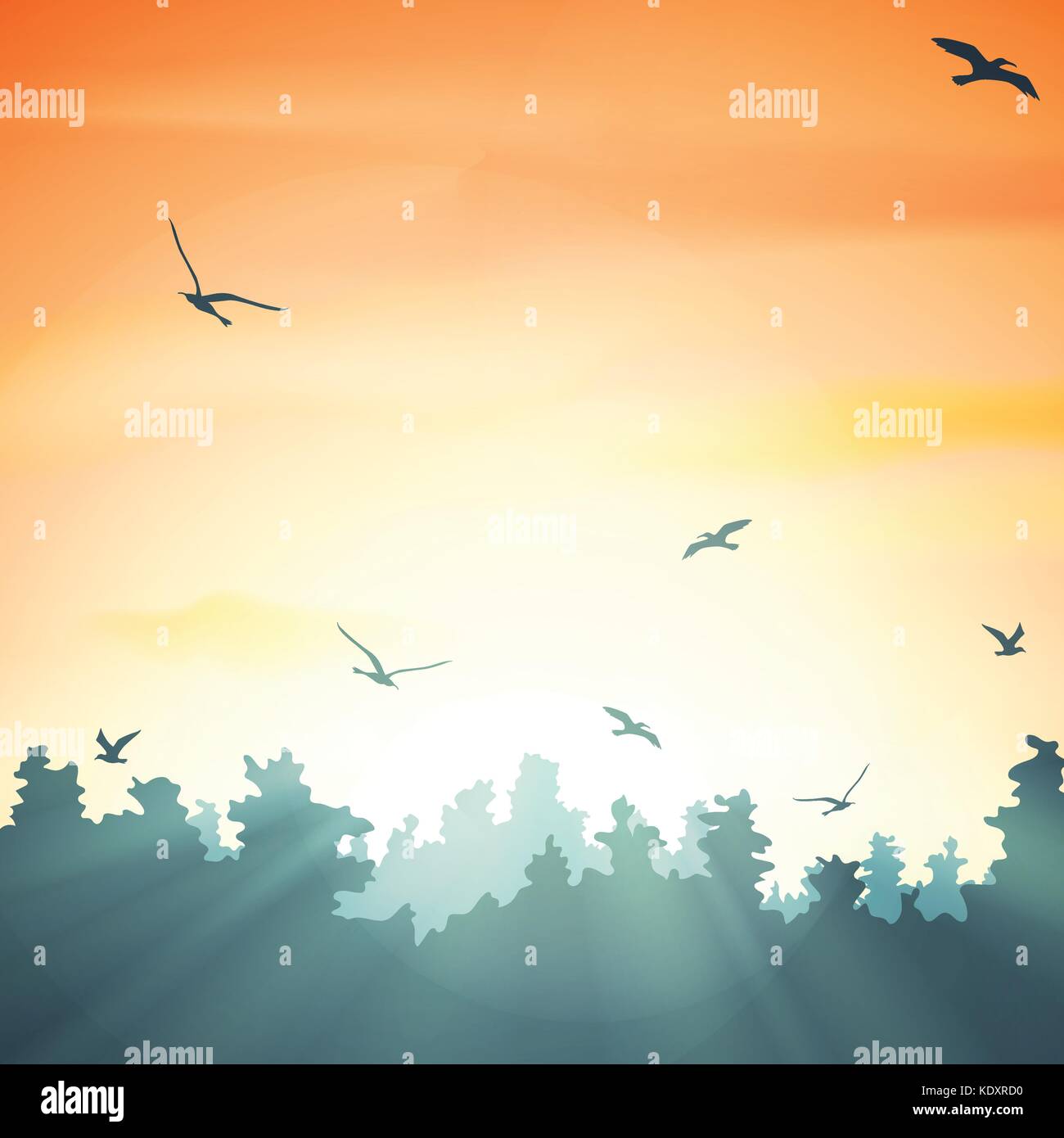 Red wood forest hiking Stock Vector Images - Alamy
