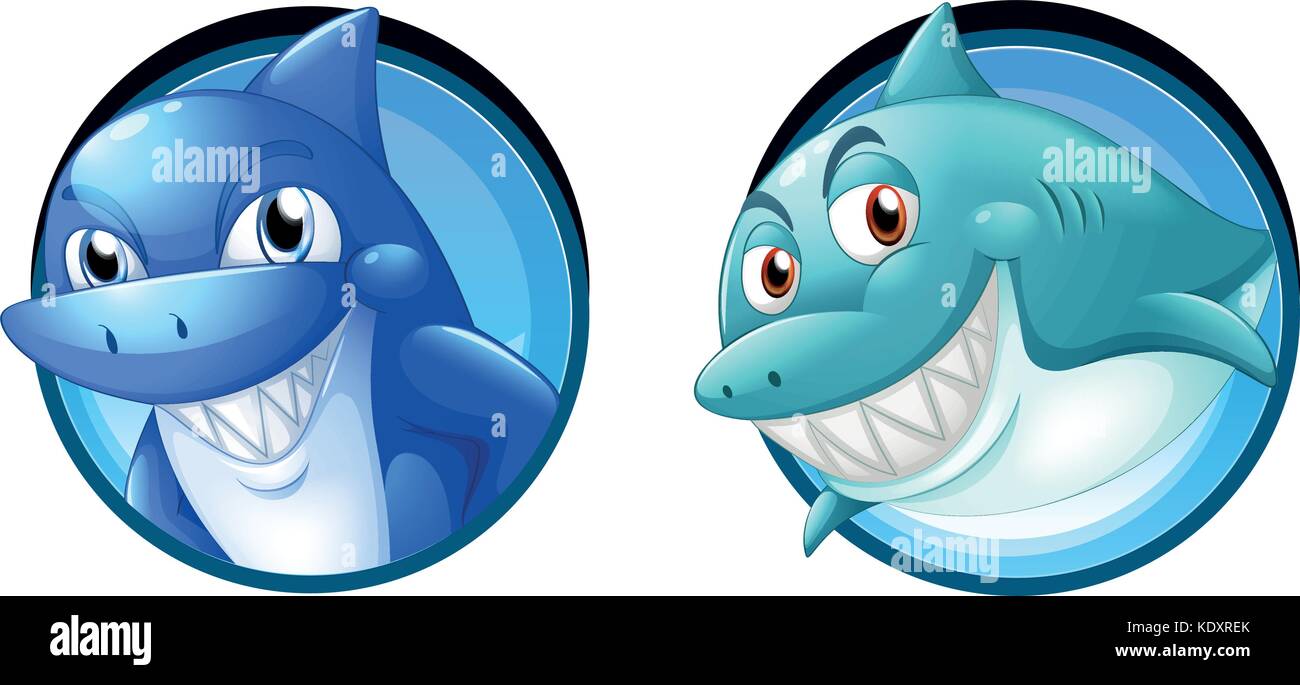 Wild sharks on round badges illustration Stock Vector Image & Art - Alamy