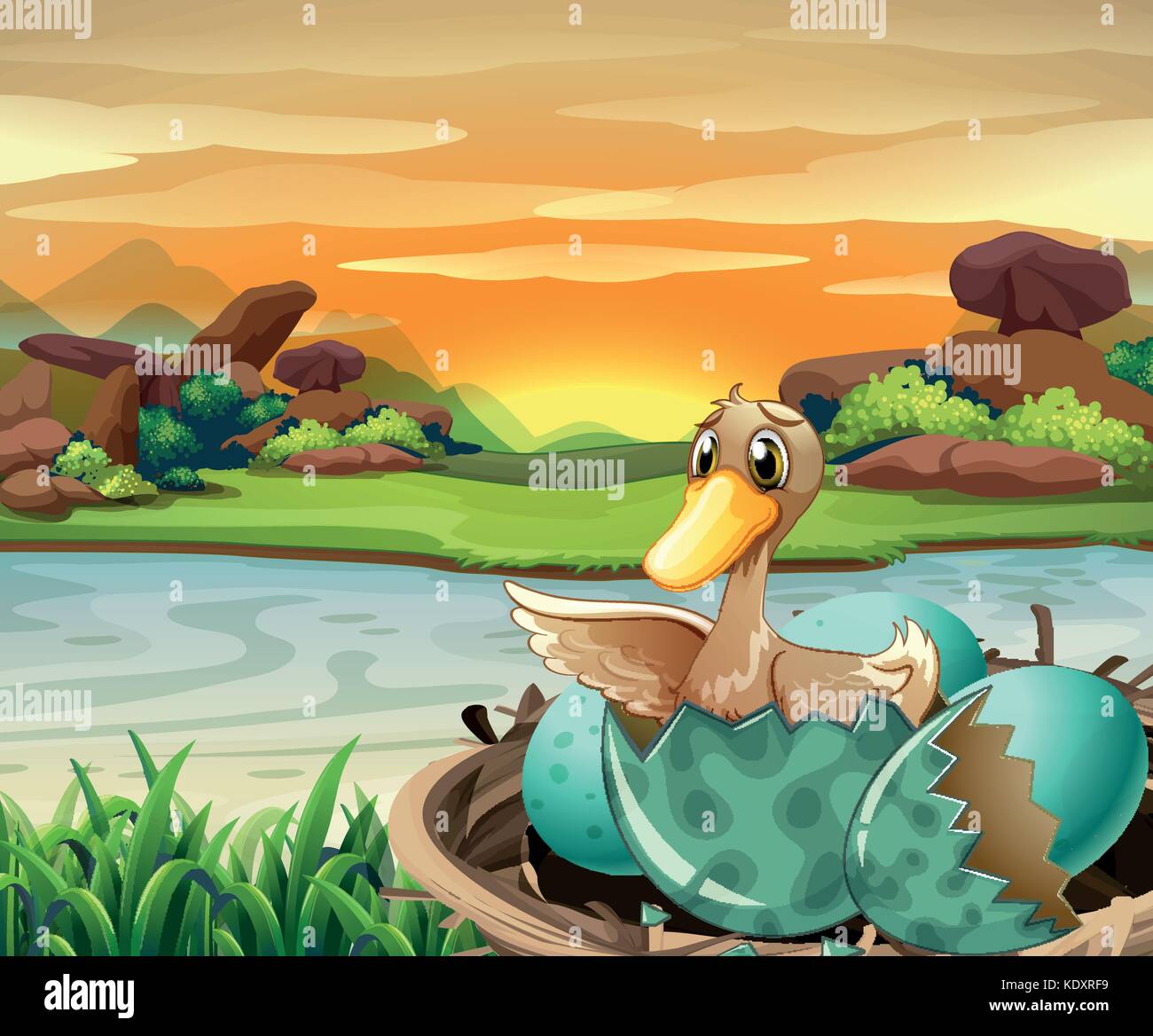Duck hatching egg by the river illustration Stock Vector Image & Art ...