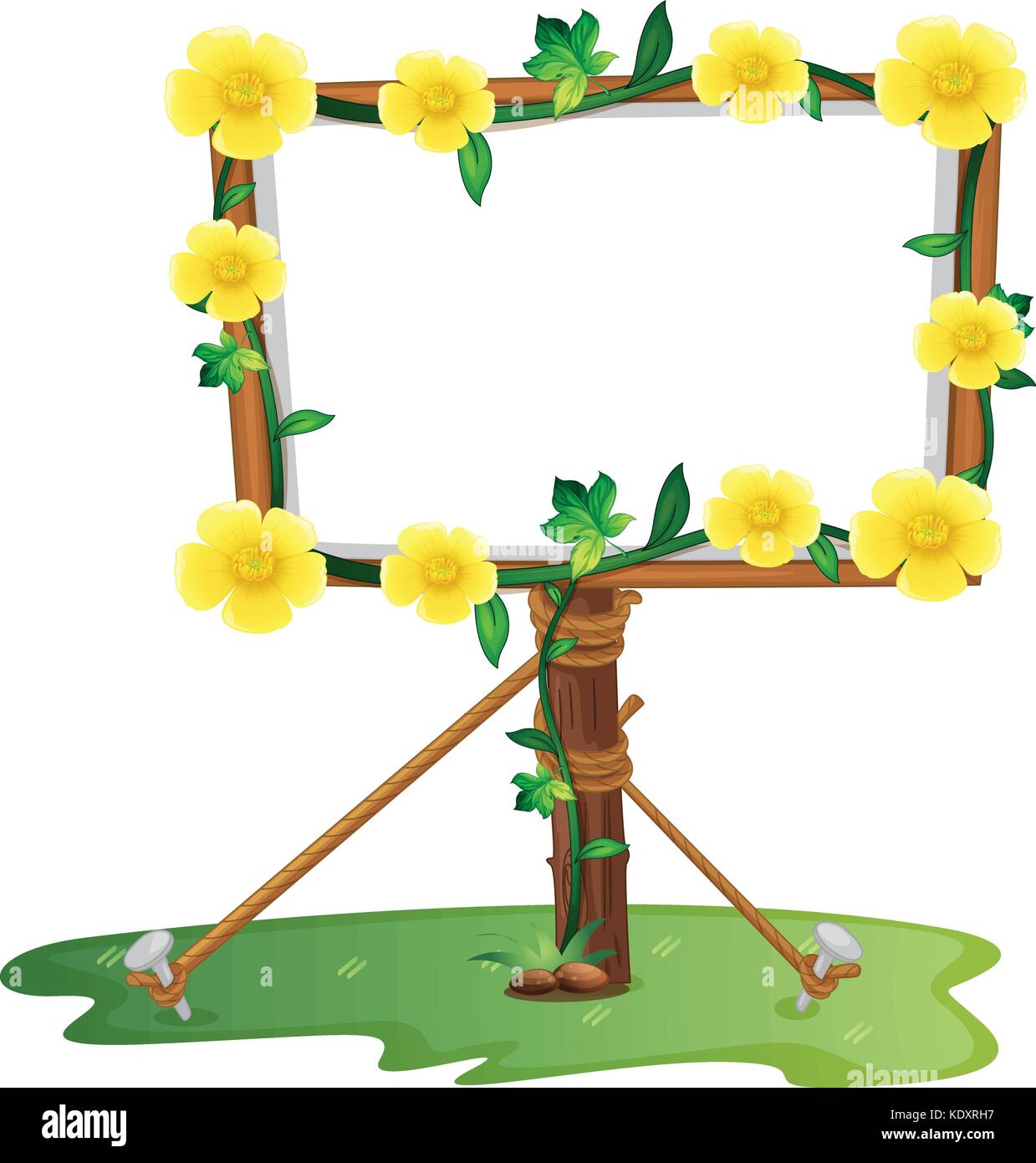 White buttercup Stock Vector Images - Alamy