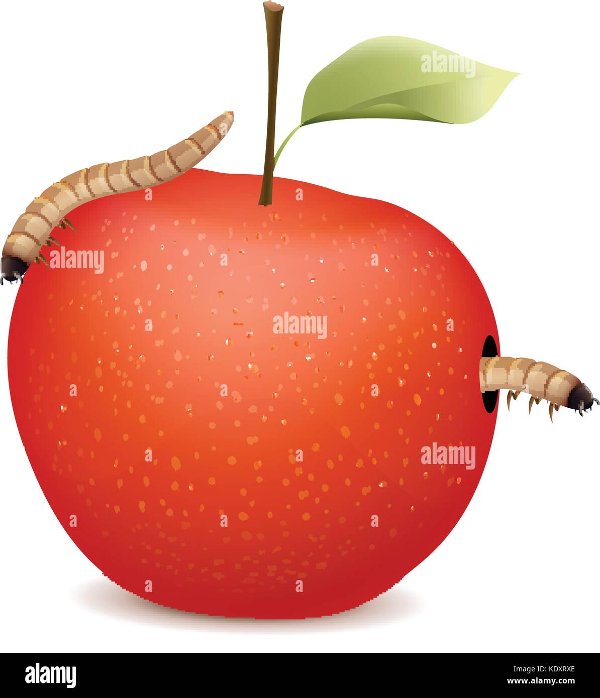 Red apple with two worms illustration Stock Vector Image & Art - Alamy