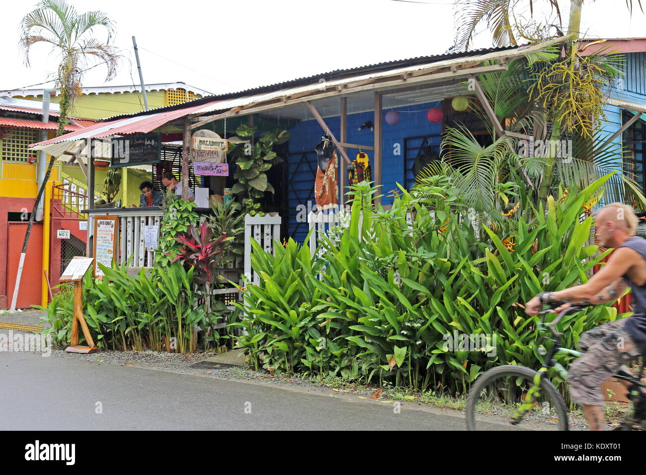Costa rica puerto viejo bar hi-res stock photography and images - Alamy