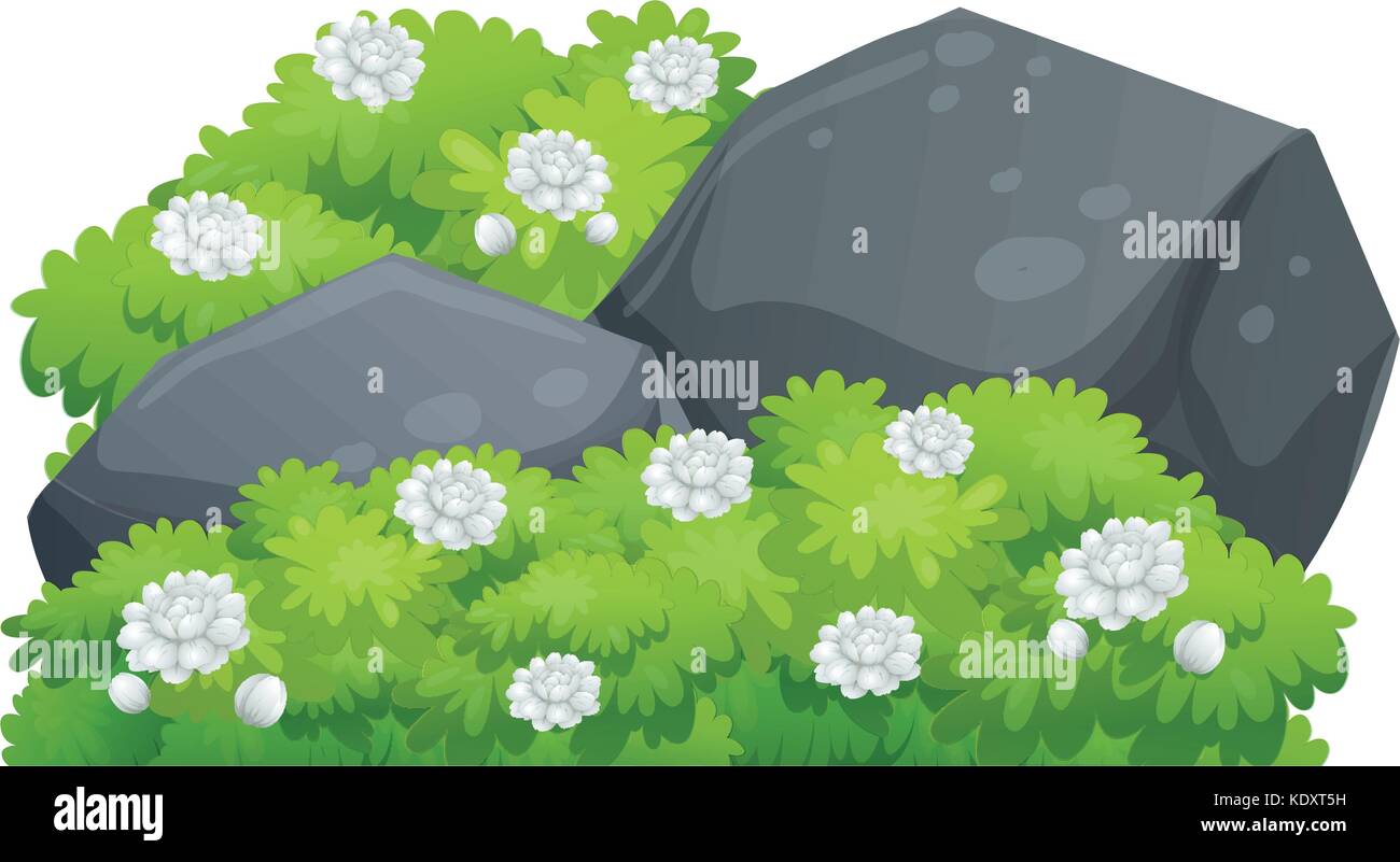 Jasmine flowers leaves isolated Stock Vector Images - Alamy
