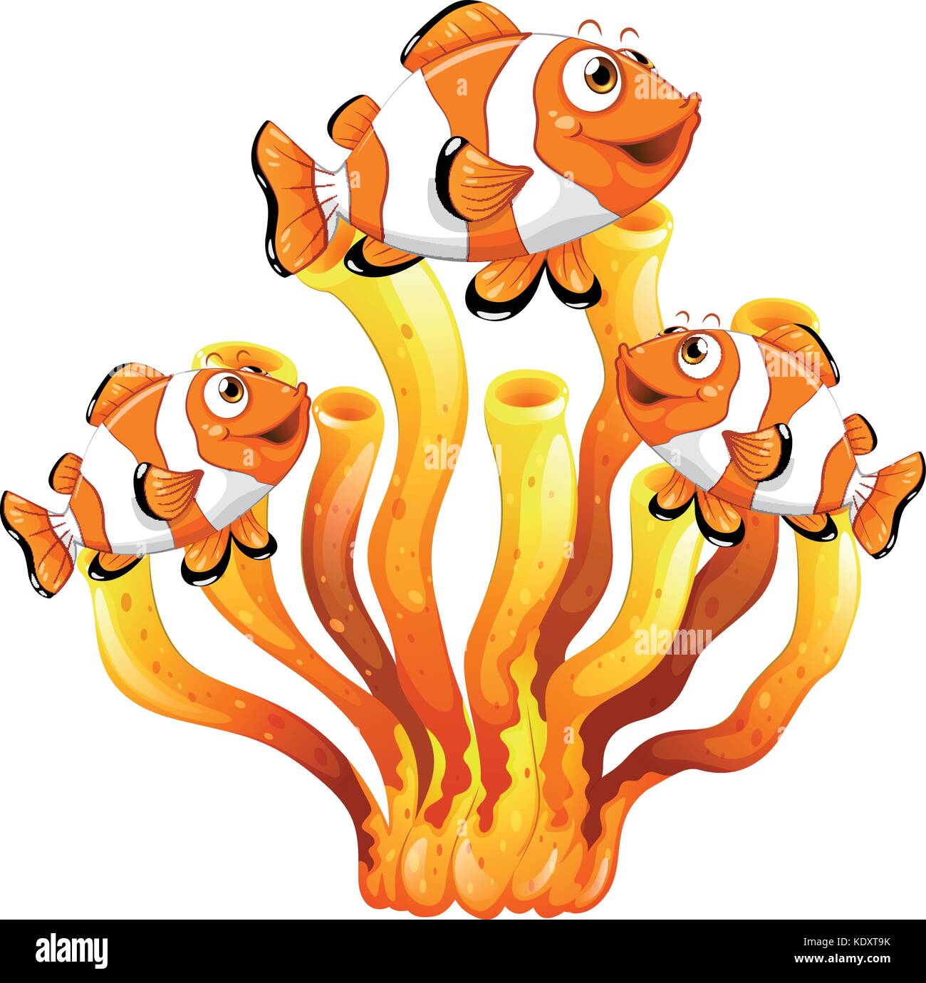 Clown fish with coral Stock Vector Images - Alamy