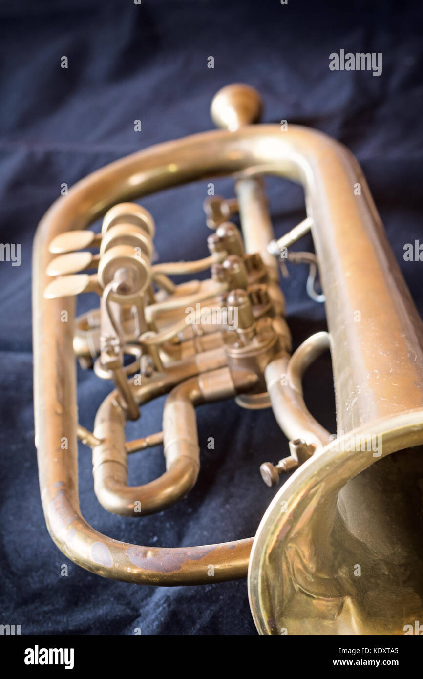 Lost his trumpet hi-res stock photography and images - Alamy