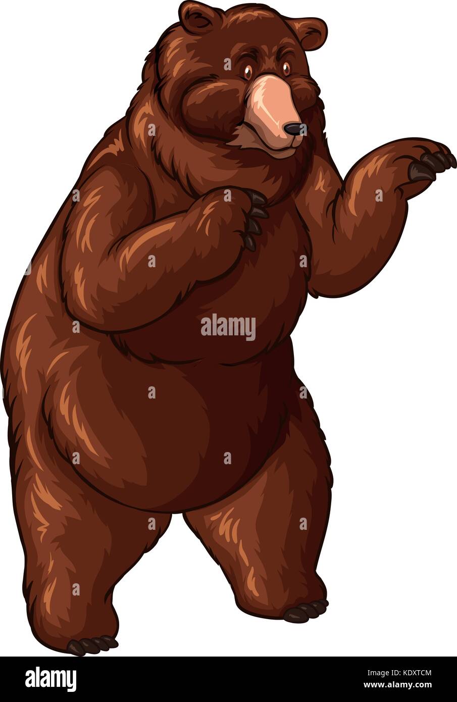 Big bear with brown fur illustration Stock Vector Image & Art - Alamy