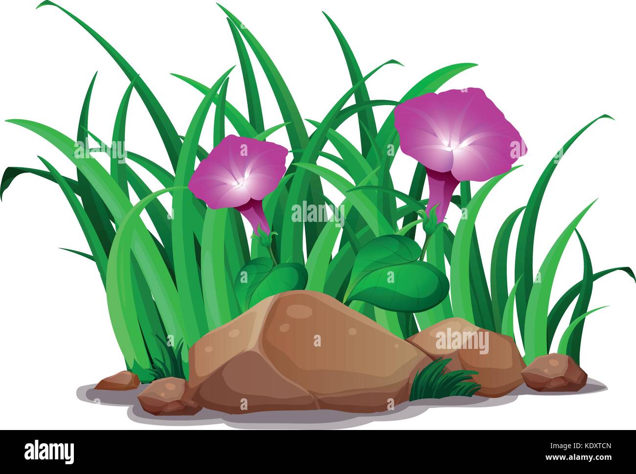 Pink morning Stock Vector Images - Alamy