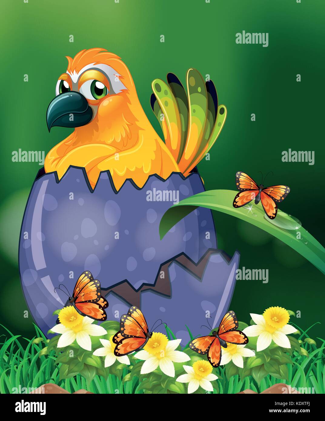 Yellow bird hatching egg in garden illustration Stock Vector Image ...