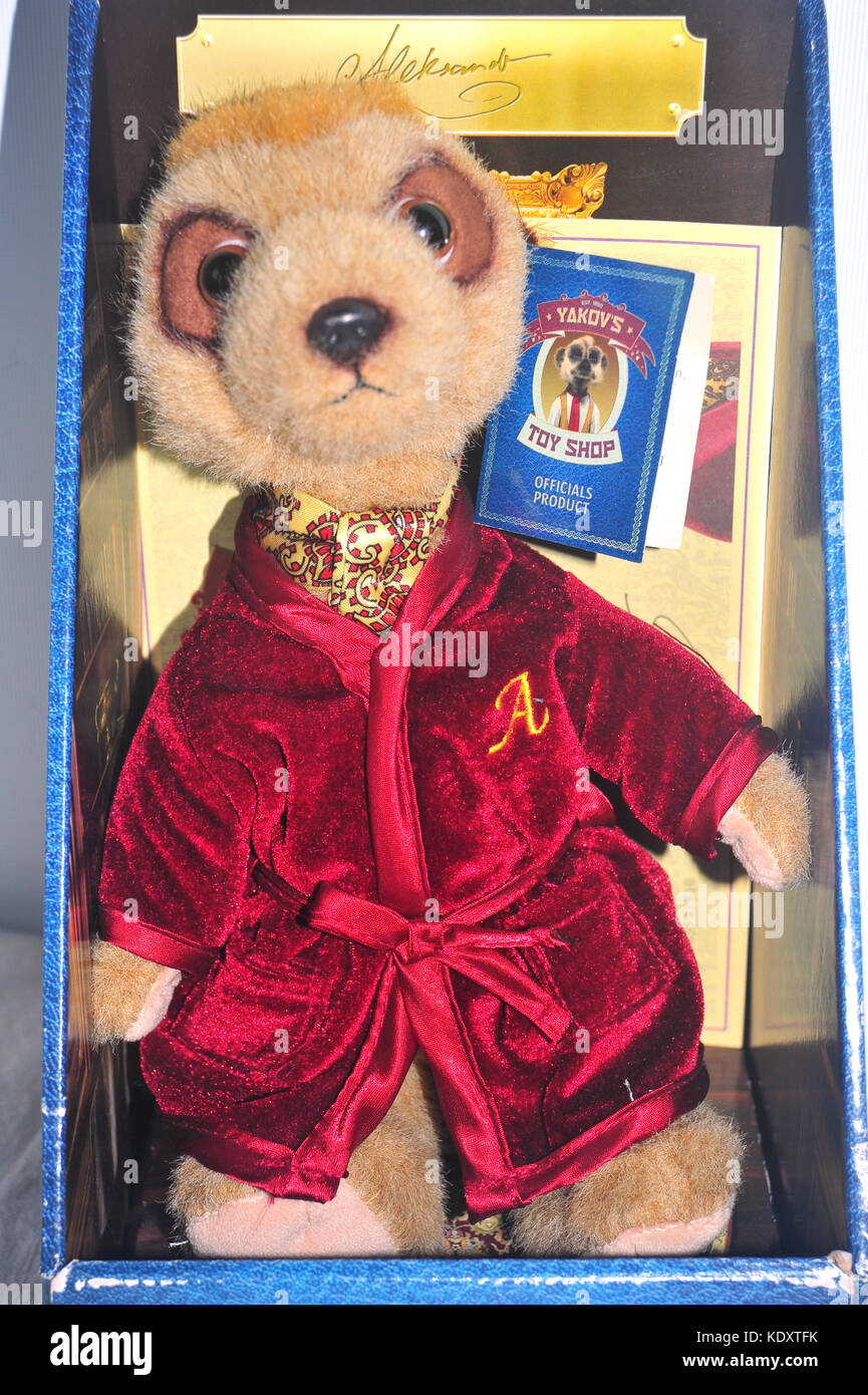 Insurance meercat hi-res stock photography and images - Alamy