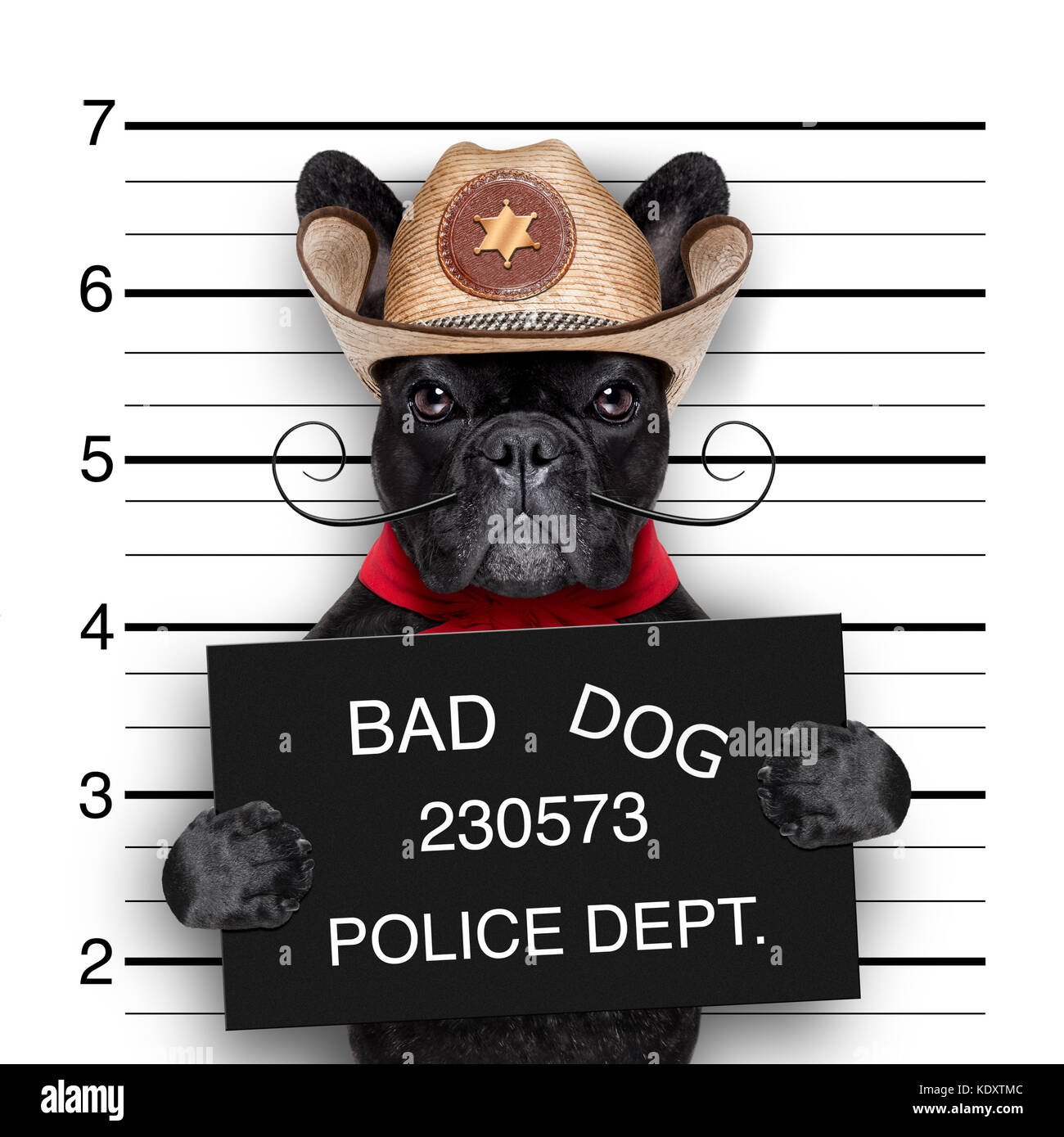 Mugshot board hi-res stock photography and images - Alamy