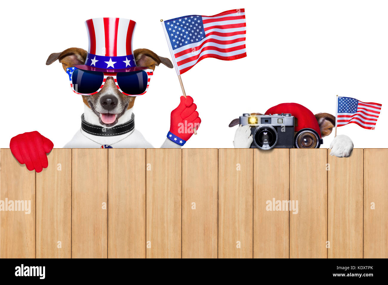 two dogs watching 4th of July parade Stock Photo - Alamy