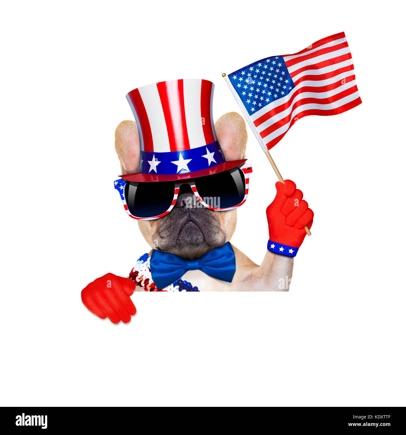 Boxer dog american flag hi-res stock photography and images - Alamy