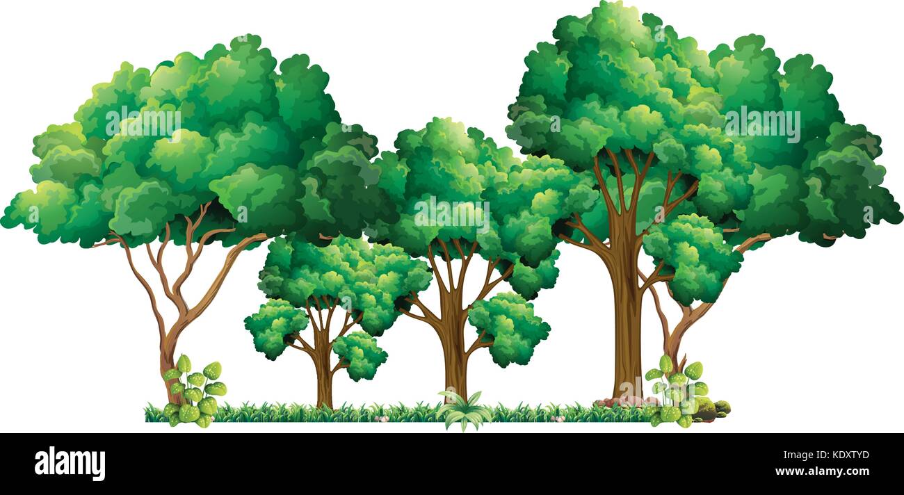 Scene with many trees illustration Stock Vector Image & Art - Alamy
