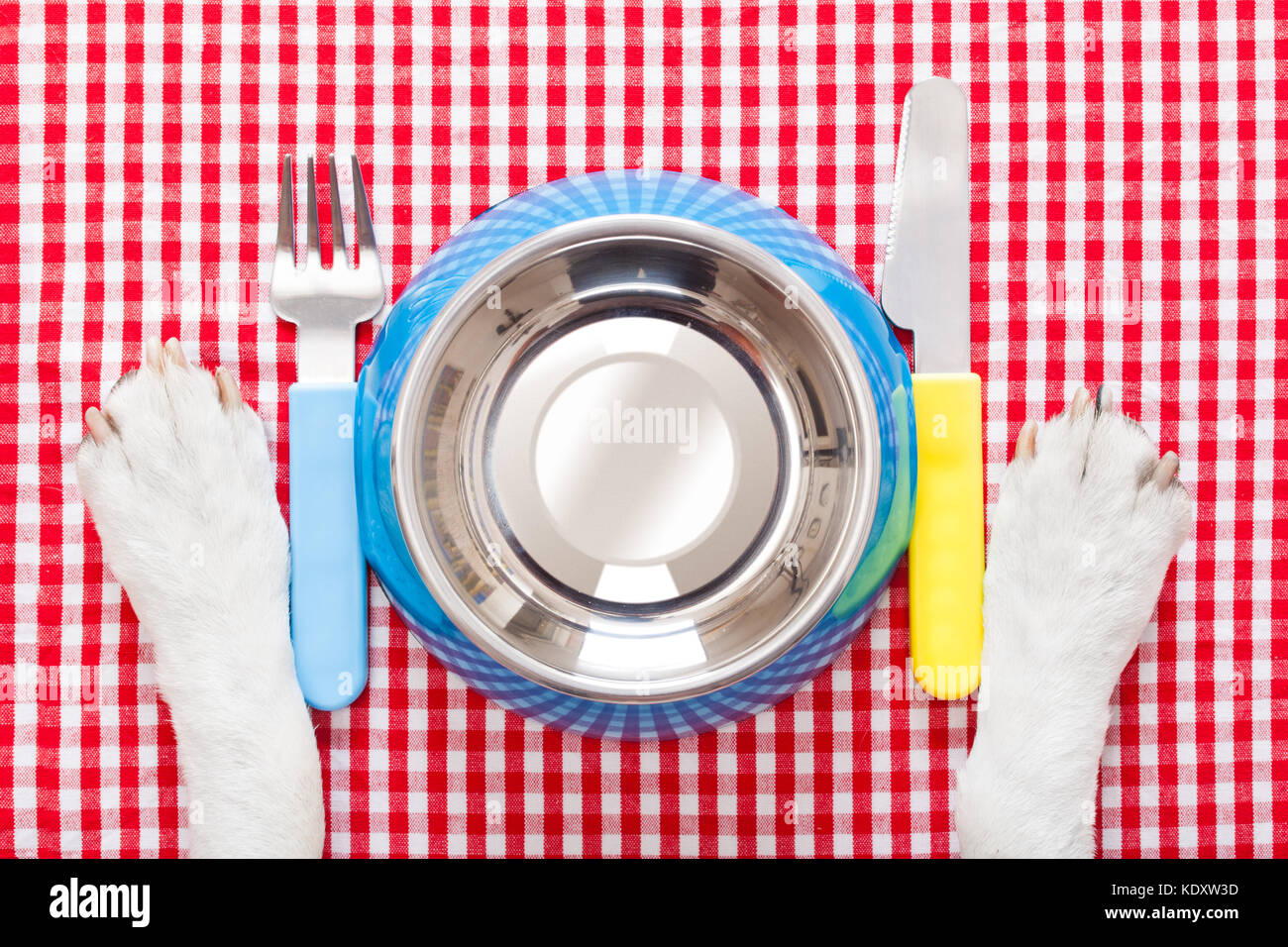 Empty dog food bowl hi-res stock photography and images - Alamy