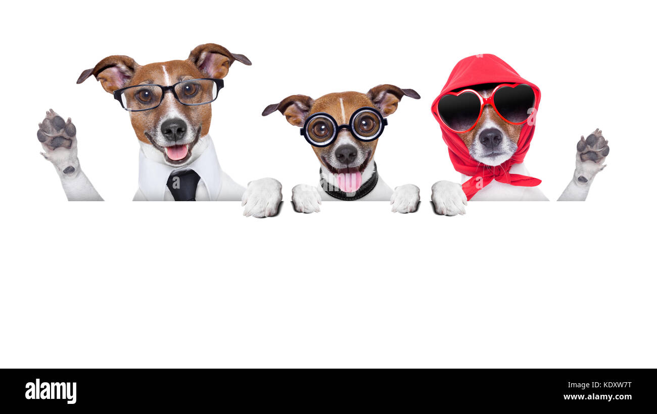 family of dogs , father mother and son Stock Photo - Alamy