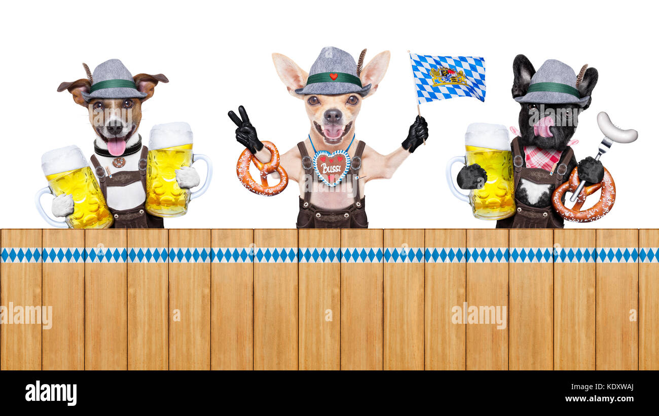bavarian german row or group of dogs with pretzel, beer mug ,flag ...