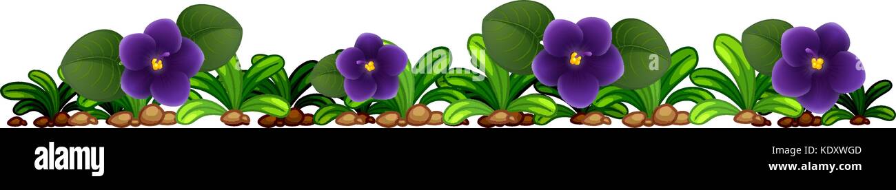 Purple flowers on the ground illustration Stock Vector Image & Art - Alamy