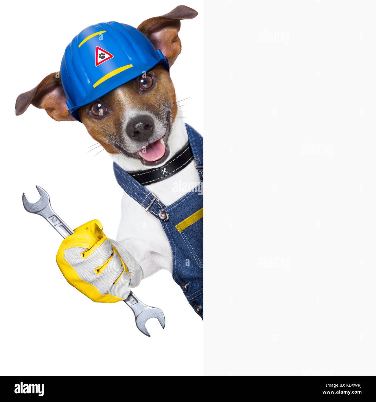 craftsman dog with tool behind a placard Stock Photo - Alamy